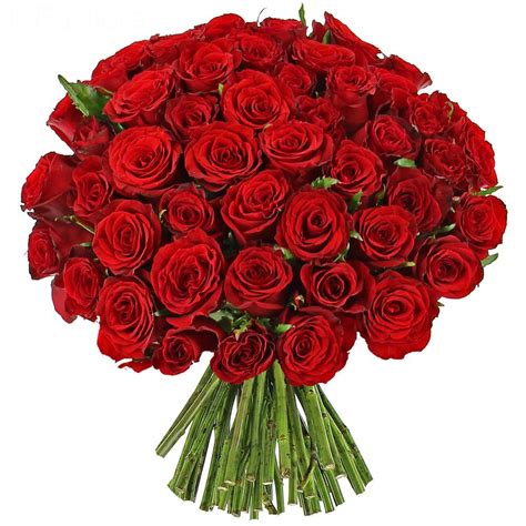 Passion Red Roses 25 Roses Rose Bouquet Delivery Foliflora