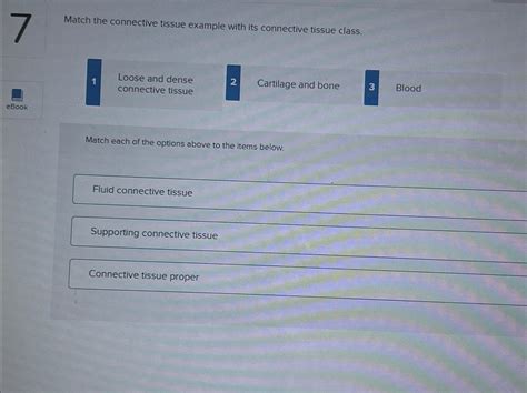 Solved Match The Connective Tissue Example With Its