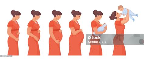 임신 단계 단계 삼 분기 임산부 출생 전 배꼽 엄마의 인포 그래픽 성장 태아 타임 라인 출산 몸 아기 모유 수유 우유 멋진 벡터 일러스트 레이 션 임신에 대한 스톡 벡터