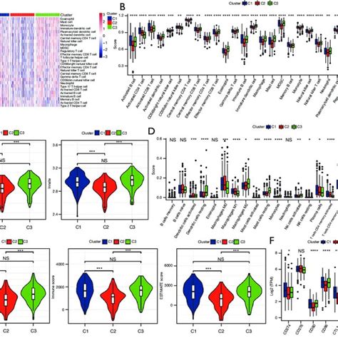 Immune Cell Infiltration In The Different Dna Methylation Molecular