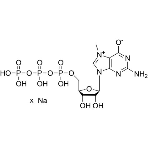 7 Methyl Guanosine 5 Triphosphate Sodium M7gtp Sodium Guanosine 5