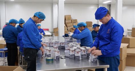 新疆巩留：企业复工“劲头足” 奋力冲刺“开门红”