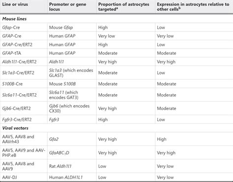 Nature Reviews Neurosci：星形胶质细胞研究手段的最全总结！