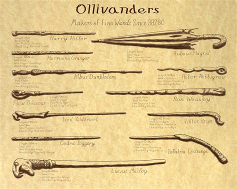 Harry Potter Wand Taxonomy By Mysterioushat21 On Deviantart