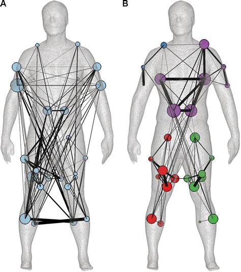 Muscle Synergy Concept My Senior Year Project Is On Muscle By Fatunmbi Daniel Medium