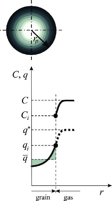 The Distribution Of The Adsorbed Component Concentration In Solid And