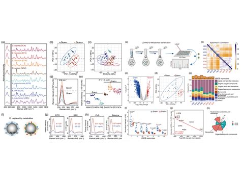 上海交通大学中文主页门户网站