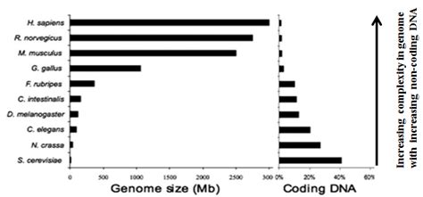 Rakesh Mishra Lab Research Packaging Of Genome Into Cell Type Specific Epigenomes Rakesh Mishra Lab Research Packaging Of Genome Into Cell Type Specific Epigenomes