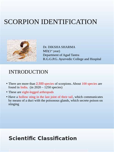 Scorpion Identification Pdf Predation