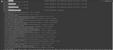 issue with validation depth data processing · issue 244 · tri ml