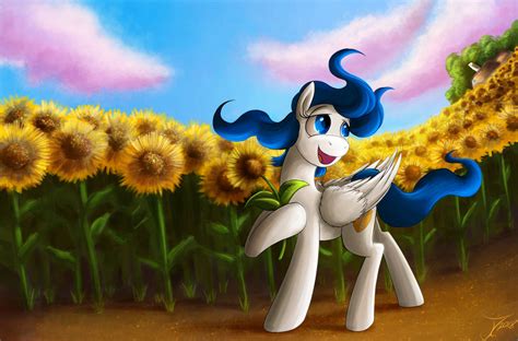 Fanart Mlp Flower Field By Jamescorck On Deviantart