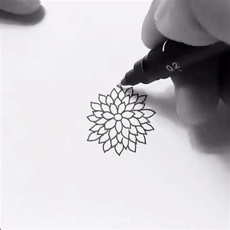 تایم لپس گل سیاه و سفید