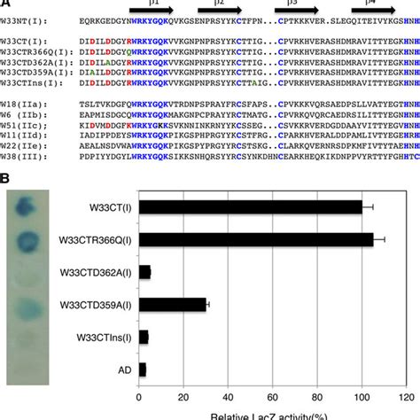 alignment of vq motif sequences of arabidopsis proteins the highly