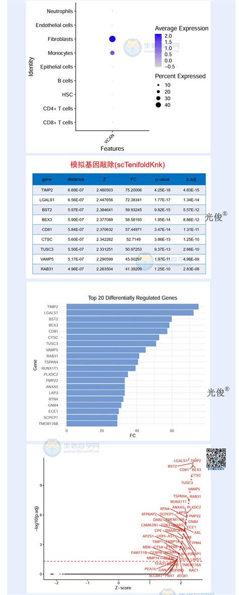单细胞模拟基因敲除sctenifoldknk虚拟细胞基因敲除最新十门课程最新发布生信自学课堂 生信自学网 生物信息学视频教程，生信培训