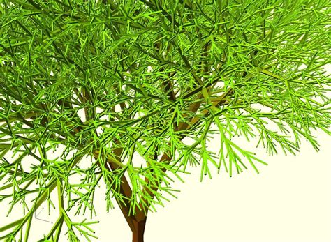 Truly Recursive And Random Tree Not Just Pseudo Recursive By Romanhegglin Download Free Stl
