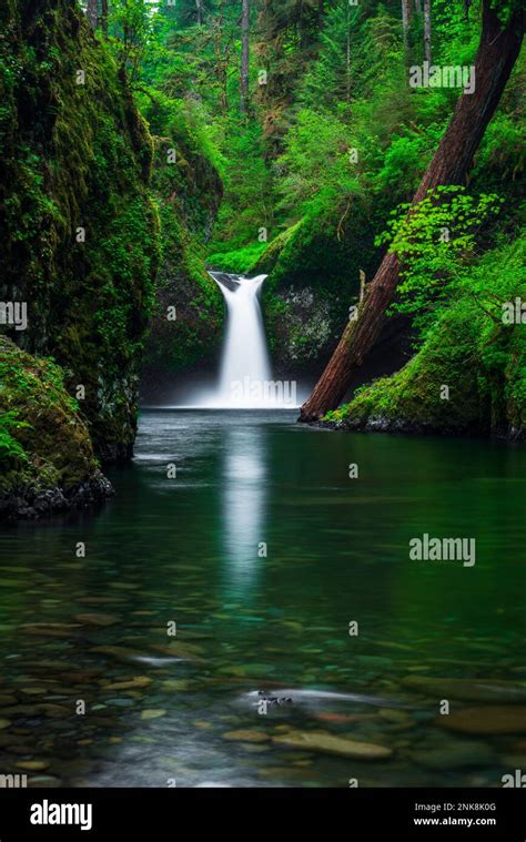 Punch Bowl Falls On Eagle Creek Columbia River Gorge National Scenic