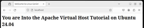 How To Set Up Apache Virtual Hosts On Ubuntu 2404 Linux Genie