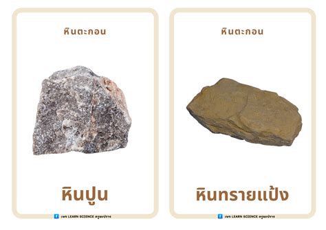 Learn Science ครูมะปราง Added A Learn Science ครูมะปราง