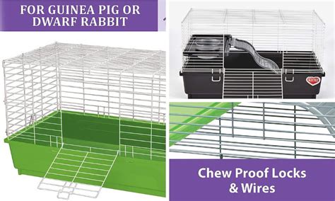 Maximizing Space How Stackable Rabbit Cages Can Improve Your Pets