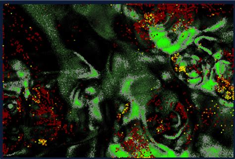 Som Probability Map With Education And Sex Contours Download