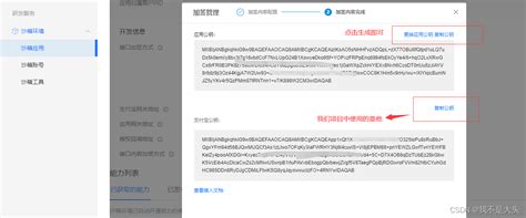 支付宝支付沙箱环境and真实支付使用详解 Python Csdn博客 支付宝支付沙箱环境and真实支付使用详解 Python Csdn博客