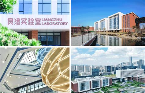 浙江大学医学院、良渚实验室蒋晞研究员课题组招聘博士后、科研助理 博士后招聘网