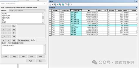 31【干货】arcgis属性表常用查询表达式实战大全 技术栈