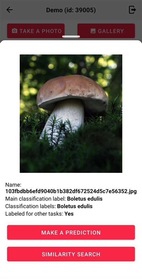 SentiSight Ai Mobile APP SentiSight Ai