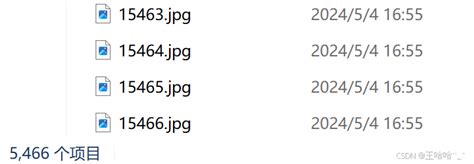 【数据集】【yolo】【目标检测】道路裂缝数据集 5466 张，道路裂缝识别毕业设计，yolo Voc格式标注！ Csdn博客