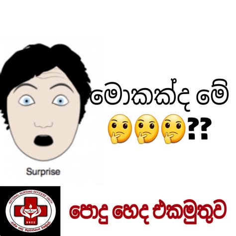Nnou Nhsl මොකක්ද මේ පොදු හෙද එකමුතුව Nnou හෙද සෙවය අනාදිමත් කාලයක සිට විවිධ ඉල්ලීම්