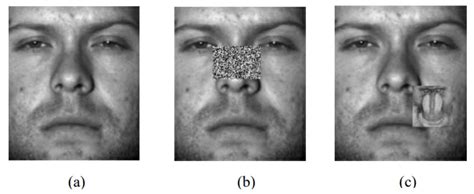 Paper A Robust Matching Pursuit Algorithm Using Information Theoretic