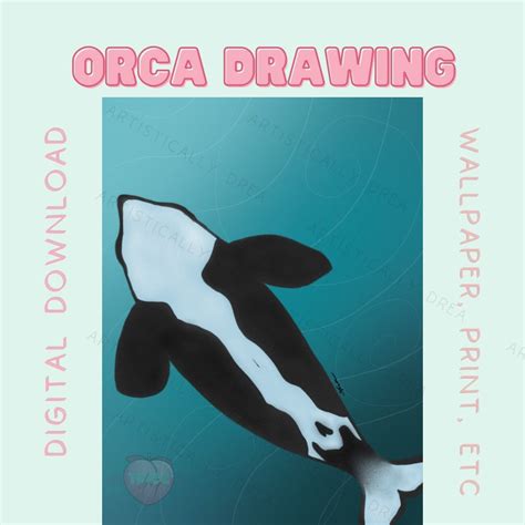 Orca Drawing