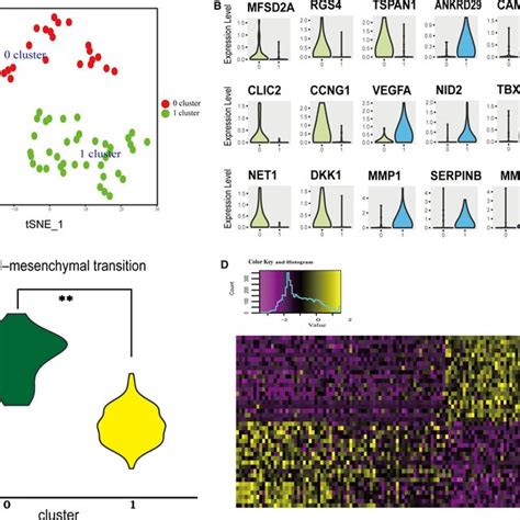 Single‐cell Rna‐seq Identified Subpopulations From Mrcc A Cell Download Scientific Diagram
