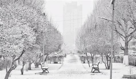 Зарим нутгаар 18 см цасан бүрхүүл тогтжээ