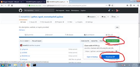 no port forwarding] reverse tcp shell and configure ngrok