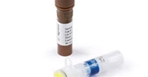 Genomic Dna Screentape