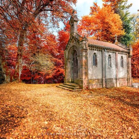 Un Chemin En Automne Une Balade En Forêt Et Des Photos