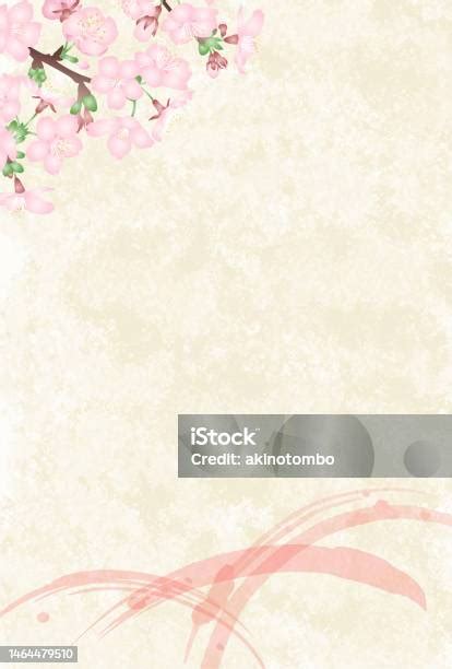 일본 종이 스타일의 배경에 3차원 그라데이션 벚꽃과 분홍색 붓놀림의 일본식 벡터 그림 세로 형 엽서 크기 봄에 대한 스톡 벡터 아트 및 기타 이미지 Istock