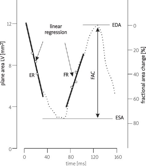 Figure 4 From Application Of Magnetic Resonance Imaging In Vivo For The Assessment Of The