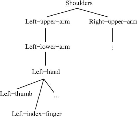 Figure 1 From Articulated Tree Structure From Motion — A Matrix Factorisation Approach