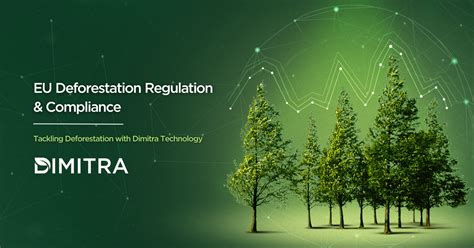 Eu Deforestation Regulation And Compliance The Netherlands Brief