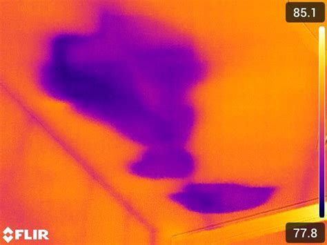 Infrared Thermography Shelton Consulting Group