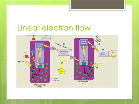 Products Of Linear Electron Flow At Roger Burgess Blog