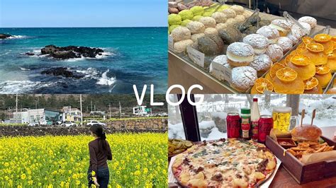 Vlog 빵수니의 제주여행 브이로그 ️ 빵지순례 아베베🍩 장인한과 파지약과🤎 제주맛집•핫플🚗 제주 디저트 쟁여가기🛍️ 겨울제주는 낭만🍊☃️ Youtube