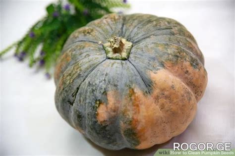 როგორ გავასუფთაოთ გოგრის თესლი Rogor Ge