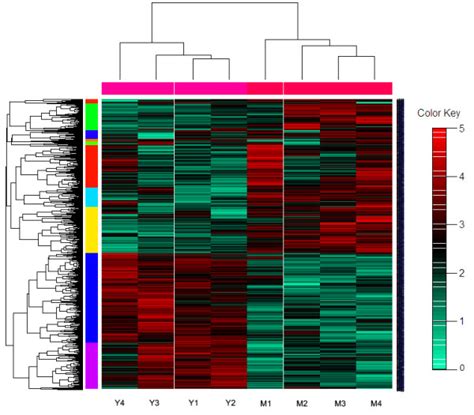 Hierarchical Heat Map Of Differential Gene Expression As Determined By