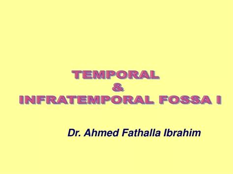 Ppt Temporal And Infratemporal Fossa I Powerpoint Presentation Id 9461300