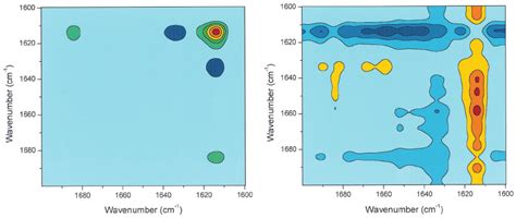 Synchronous Left And Asynchronous Right Correlation Map Contours In Download Scientific