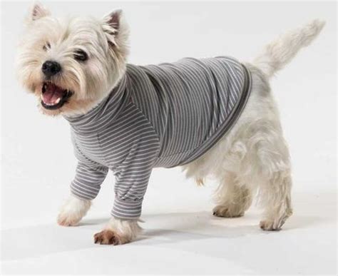 Pebot Buttercup Fleece Dog And Cat Shirt Grey And Light Blue Stripe 16