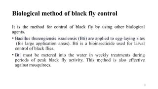 Black Fly Public Health Importancepptx Rajesh Pandey Pptx